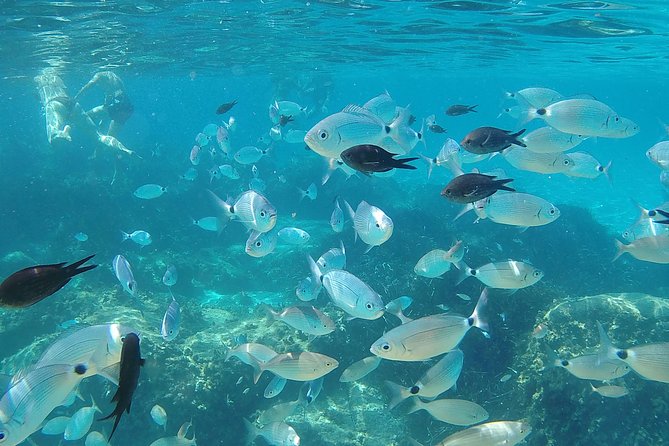 Villasimius Beaches Day Trip From Cagliari - Traveler Experiences and Feedback