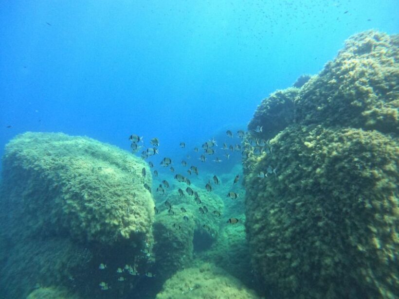 Villasimius: Scuba Dive in Capo Carbona without Certificate - Introduction: The Allure of a Beginner-Friendly Dive in Sardinia