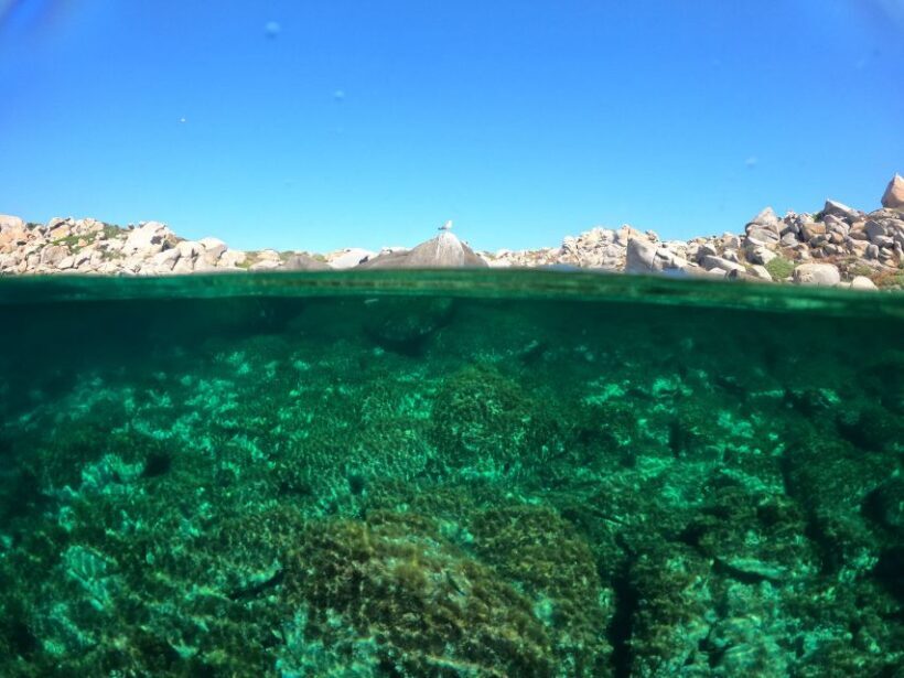 Villasimius: Scuba Dive in Capo Carbona without Certificate - The Itinerary: A Step-by-Step Breakdown