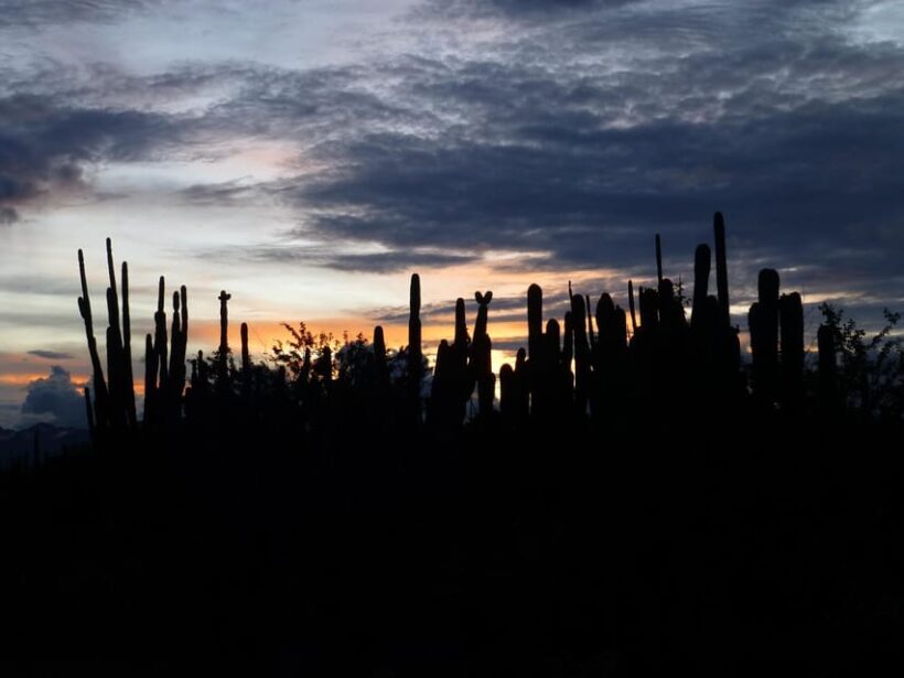 Villavieja: Tatacoa Desert Horseback Riding Tour - Frequently Asked Questions