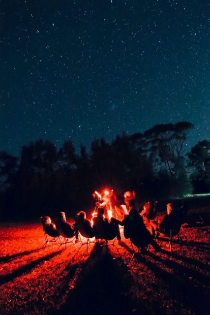 Vincentia: Jervis Bay Beach Stargazing with an Expert - Key Points