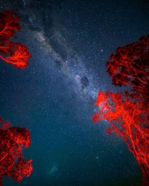 Vincentia: Jervis Bay Beach Stargazing with an Expert - A Practical Look at the Jervis Bay Beach Stargazing Tour