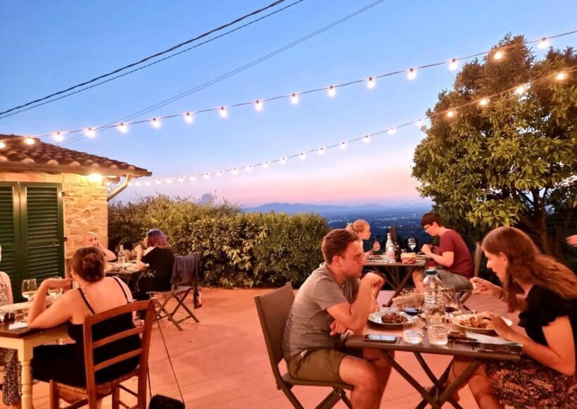 Vinci: Homemade Dinner and Oil Tasting Tour in a Tuscan Farm - A Deeper Look at the Experience