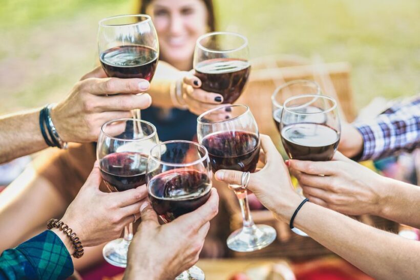 Vinci: The Footsteps of Leonardo and Wine Tasting Tour - Transport and Logistics