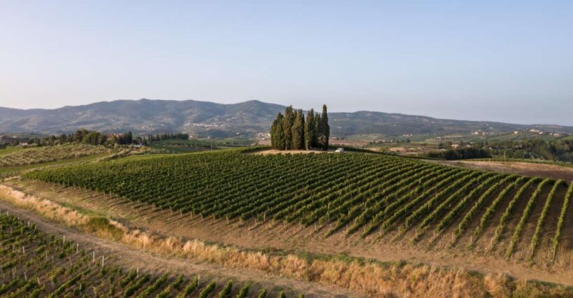 Vinci: wine-experience among the Tuscan hills - Key Points