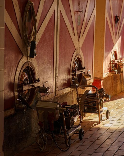 Vinci: wine-experience among the Tuscan hills - The Setting: The Heart of Vinci’s Vineyards