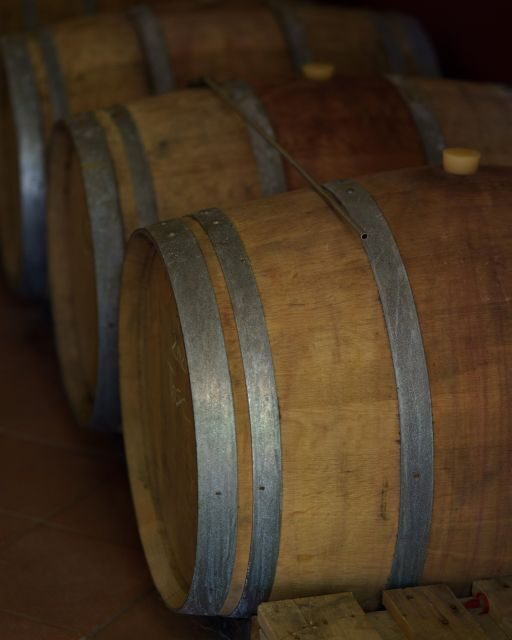Vinci: wine-experience among the Tuscan hills - Tour of the Cellar