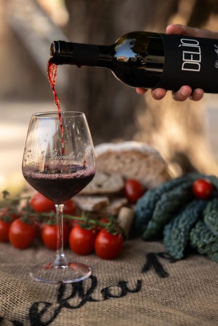 Vinci: wine-experience among the Tuscan hills - Tasting & Local Flavors