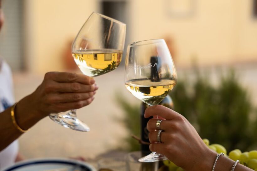 Vinci: wine-experience among the Tuscan hills - Who Will Love This Tour?