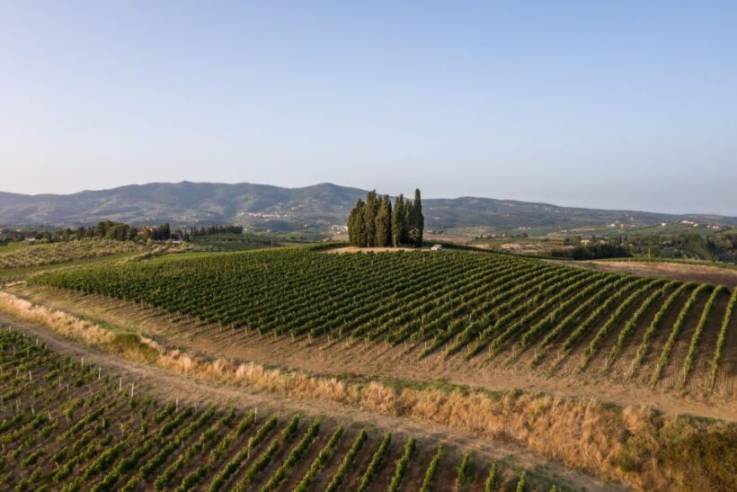 Vinci: wine-experience among the Tuscan hills - The Sum Up: Why This Experience Is Worth It