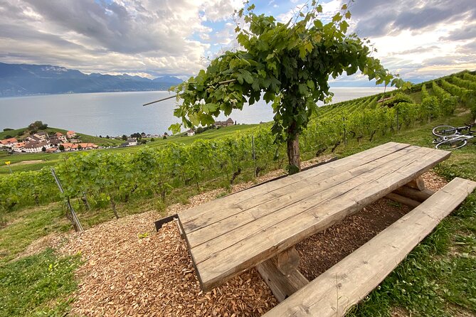Vine Stories: Lavaux & Lutry Wine Walk - Tasting the Terroirs of Lake Geneva