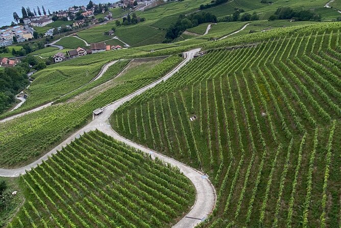 Vine Stories: Lavaux & Lutry Wine Walk - Traveler Reviews and Experiences