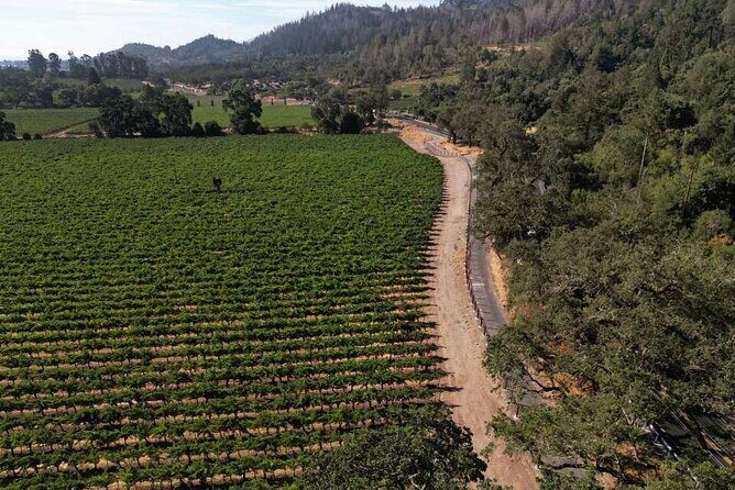 Vine Trail Discovery E-Bike Tour - A Practical Guide to the Vine Trail Discovery E-Bike Tour