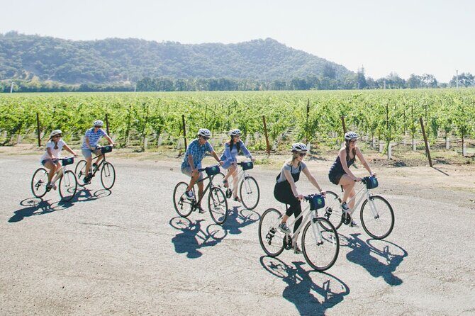 Vine Trail Discovery E-Bike Tour - The Sum Up