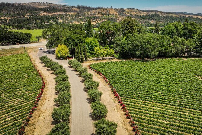 Vine Trail Discovery E-Bike Tour - Frequently Asked Questions
