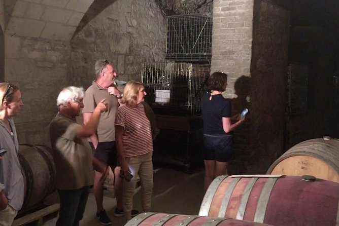 Vineyard Cycle Tours in and Around Chinon, in the Loire Valley - Cycling Through the Picturesque Vineyards