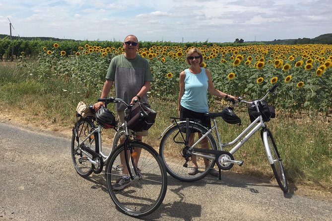 Vineyard Cycle Tours in and Around Chinon, in the Loire Valley - Traveler Reviews and Recommendations