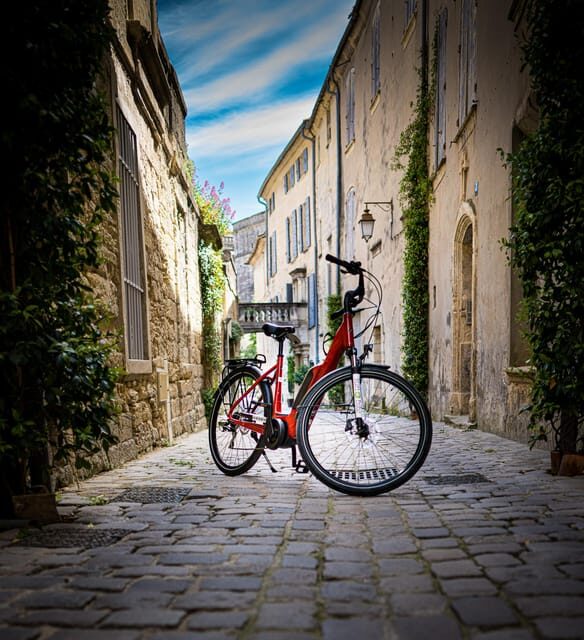 Vineyard of the Alpilles by bike - Key Points
