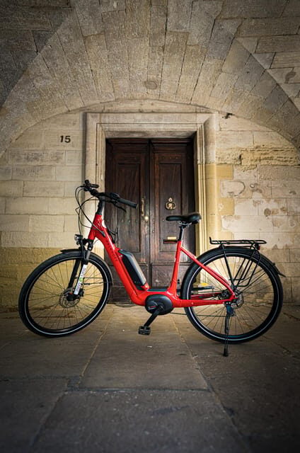 Vineyard of the Alpilles by bike - The Experience in Context
