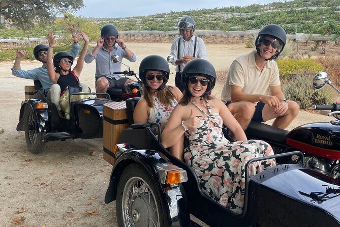 Vineyard Rides San Luis Obispo Sidecar Wine Adventure - The Experience: What to Expect