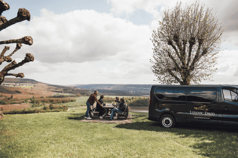 Vineyard tour and Tasting with Champagne Ludovic David - Who Will Love This Experience?