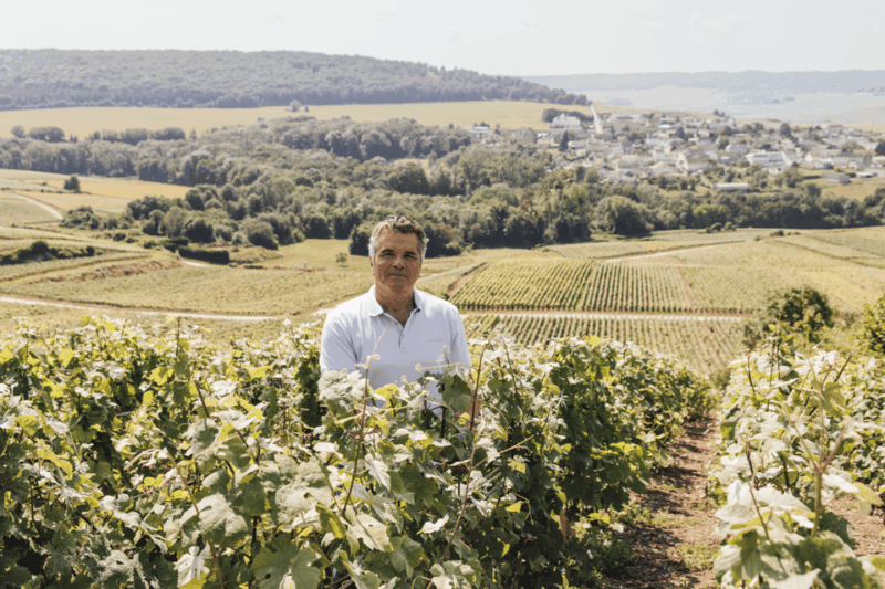Vineyard tour and Tasting with Champagne Ludovic David - FAQs