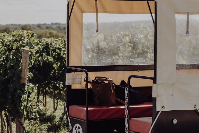 Vineyard tour and wine tasting in Davron - Final Thoughts