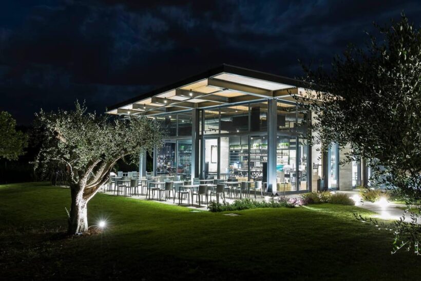Vineyard Tour and Winery Visit with Tasting of Wines of Romagna - Tasting and Authentic Flavors