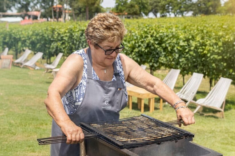 Vineyard Tour and Winery Visit with Tasting of Wines of Romagna - Small Group Experience & Practicalities
