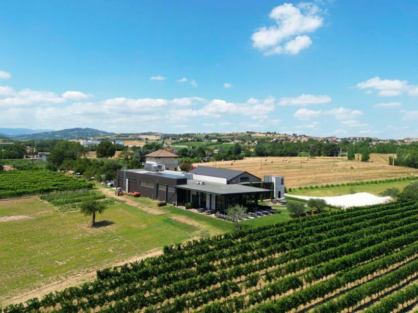Vineyard Tour and Winery Visit with Tasting of Wines of Romagna - FAQs