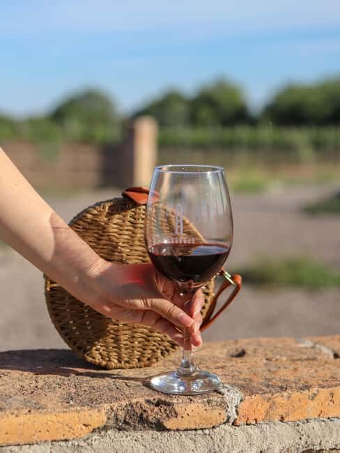 VINEYARD TOUR - Key Points