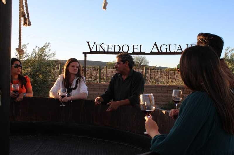 VINEYARD TOUR - Frequently Asked Questions