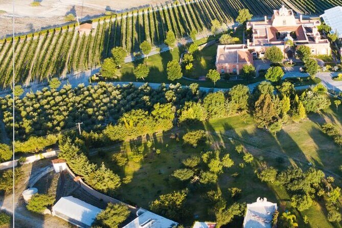 Vineyard, tour, tasting and fun in San Miguel de Allende - FAQ About the San Miguel de Allende Vineyard Tour