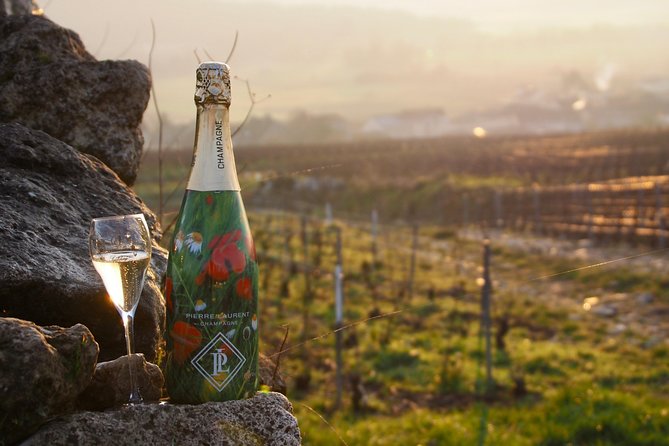 Vineyard tour & Tasting of all our lineup - Who Will Love This Experience?