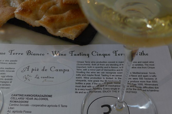 Vineyard Tour & Wine Tasting - Tour Highlights