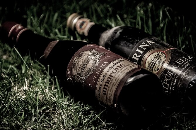 Vineyard Tour with Light Lunch in Valpolicella - Group Size and Practicalities