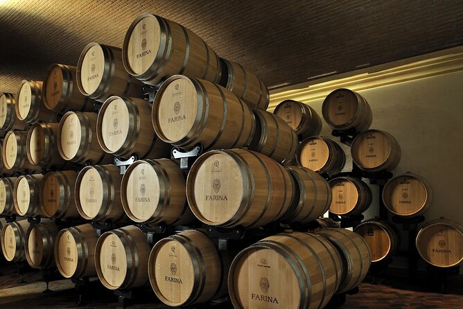 Vineyard Tour with Light Lunch in Valpolicella - Analyzing the Value