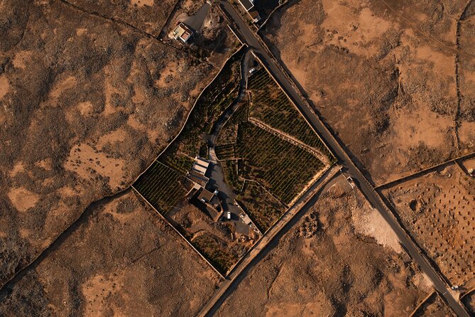 Vineyard Tour With Wine Tasting and Local Products - Traveler Reviews and Feedback