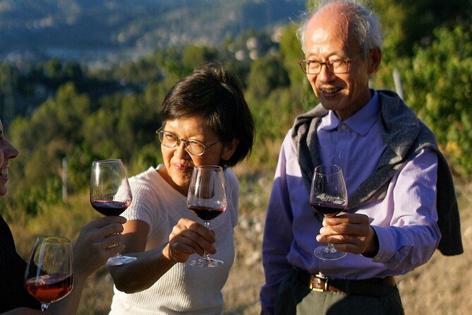 Vineyard Tour With Wine Tasting Within Nice City Borders - Discovering the Scenic Views and Wine Cellar