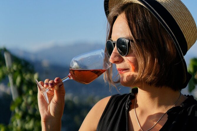 Vineyard Tour With Wine Tasting Within Nice City Borders - Tasting the Regional Wines With a Knowledgeable Sommelier
