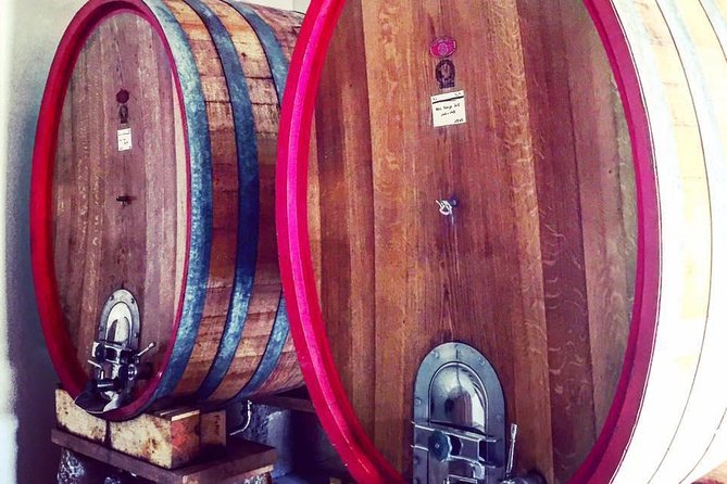 Vineyard Visit in Gyropod, Visit of Cave & Tasting Wines of Bandol - Scenic Views of Bandol