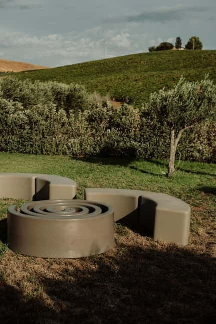 Vineyard Walk and Tasting - An Invitation to Walk Through Sicily’s Vineyards