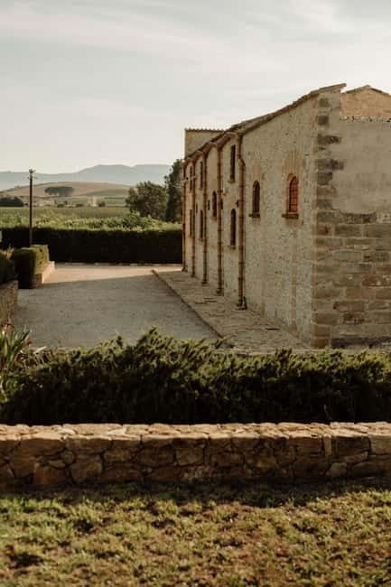 Vineyard Walk and Tasting - Practical Details: What to Expect and Considerations