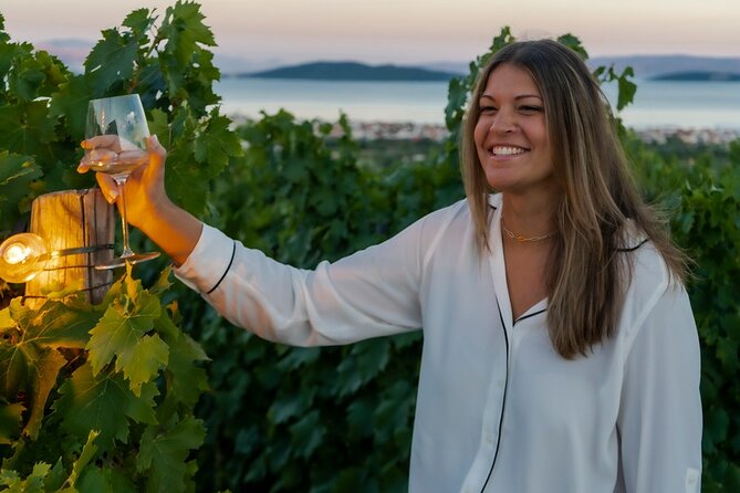 Vineyard Wine Tasting Experience with a Sea view from Split - Key Points