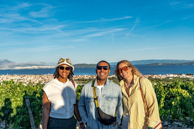 Vineyard Wine Tasting Experience with a Sea view from Split - Analyzing the Value