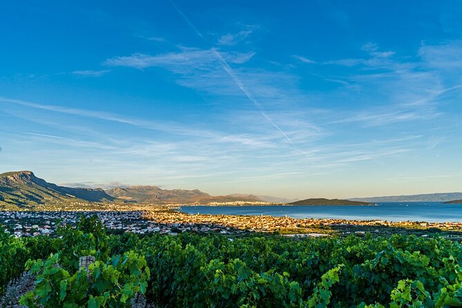 Vineyard Wine Tasting Experience with a Sea view from Split - Final Thoughts