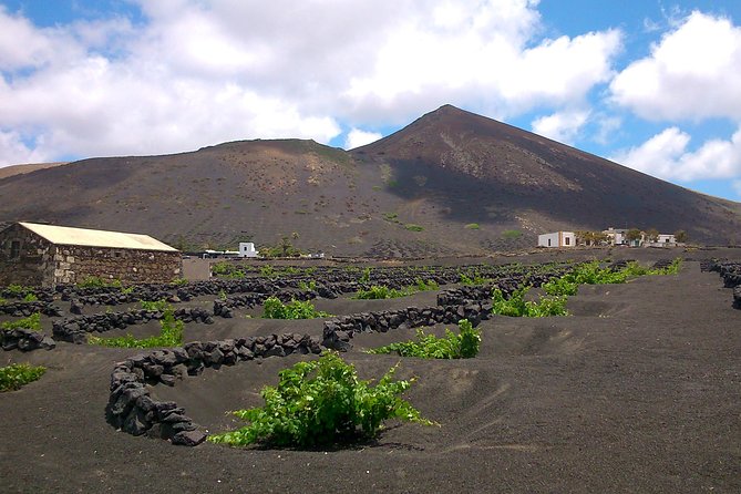 Vineyards of La Geria Hiking Tour - Meeting and Pickup Information