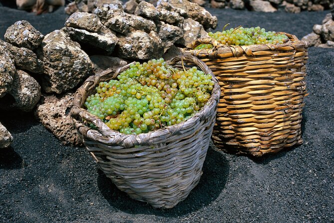 Vineyards of La Geria Hiking Tour - Traveler Feedback