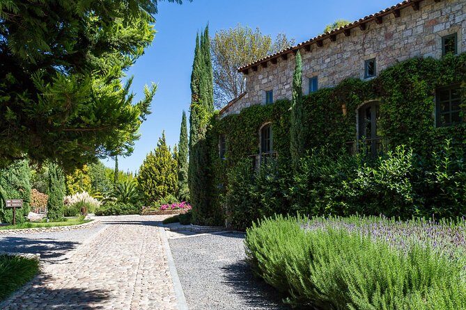 Vineyards, Wine Tasting and Pairing in San Miguel - Exploring Vineyards, Wine Tasting and Pairing in San Miguel