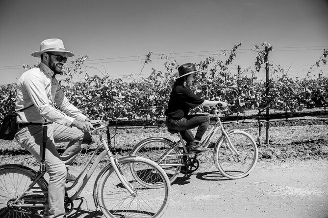 Vineyards, Wine Tasting and Pairing in San Miguel - Who Should Consider This Tour?